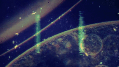 Triangle art space GIF - Find on GIFER