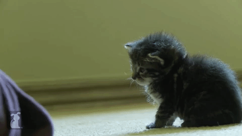 System stopped working GIF - Find on GIFER