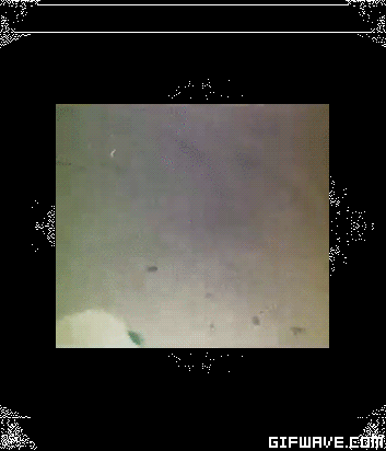 Xo GIF - Encontrar em GIFER