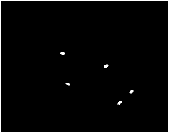 Fireflies GIF - Find on GIFER