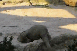 GIF fashion retail advent calendar - animated GIF on GIFER