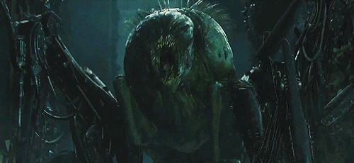 Maze runner GIF - Find on GIFER