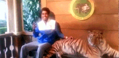GIF tree seconds shredded - animated GIF on GIFER