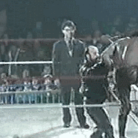 GIF superfly wagging tail image - animated GIF on GIFER