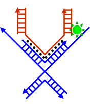GIF dna - animated GIF on GIFER