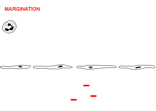 Process GIF - Find on GIFER