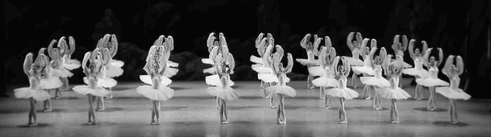 Ballet GIF - Find on GIFER