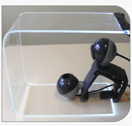GIF completed - animated GIF on GIFER