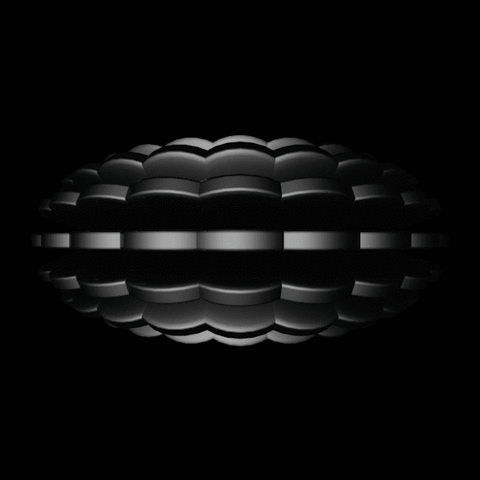 Symmetry GIF - Find on GIFER