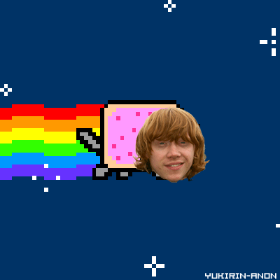 Harry potter nyan cat cat GIF on GIFER - by Aurirdin
