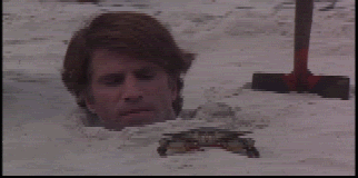 GIF make looping whenever wherever - animated GIF on GIFER