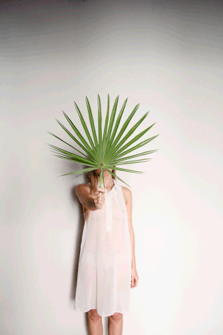 Tropical GIF - Find on GIFER