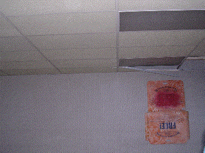 Rotflol GIF - Find on GIFER