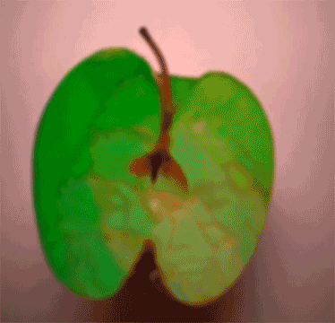 Art installation GIF - Find on GIFER