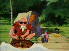 Roshi anime master GIF - Find on GIFER