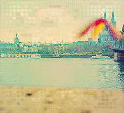 Hungary GIF - Find on GIFER
