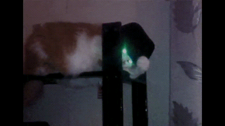 Reverse smooth operator GIF - Find on GIFER