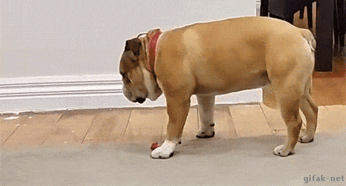Good burger best ink GIF - Find on GIFER