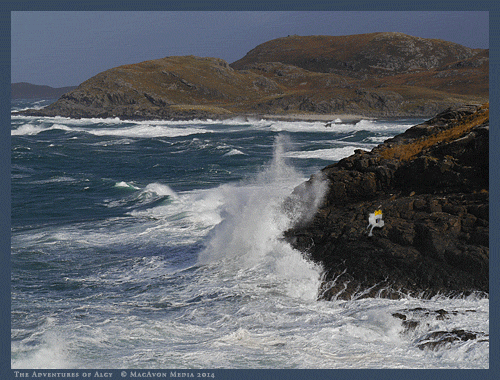 James quall tim and eric tv GIF - Find on GIFER