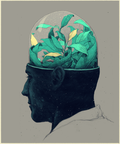 Monkeys animals science GIF - Find on GIFER