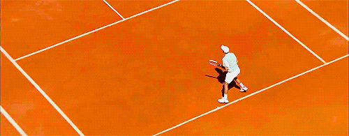 GIF reactions tennis roger federer - animated GIF on GIFER