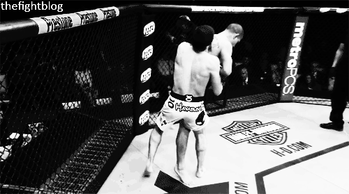 Ufc mma GIF - Find on GIFER