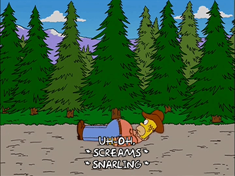Homer simpson episode 13 scared GIF - Find on GIFER
