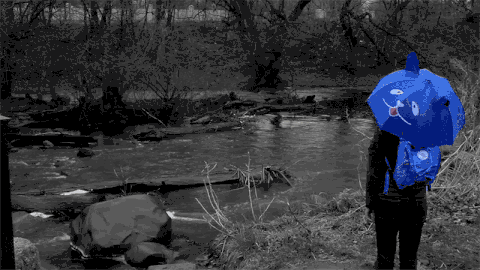 Mine 1 GIF - Find on GIFER