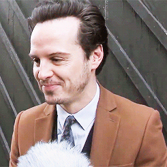 GIF 15k - animated GIF on GIFER