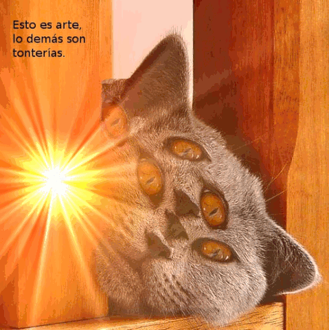 GIF vlogs - animated GIF on GIFER