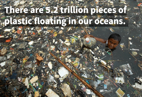 Plastic pollution bbc GIF - Find on GIFER