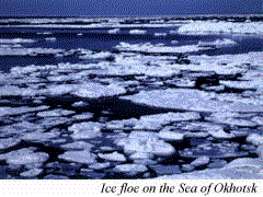 Sea GIF - Find on GIFER
