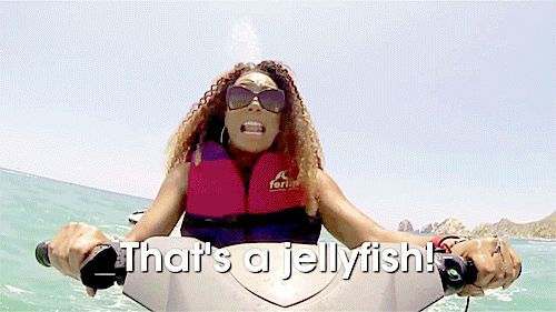 And wiffle s reactions GIF - Find on GIFER