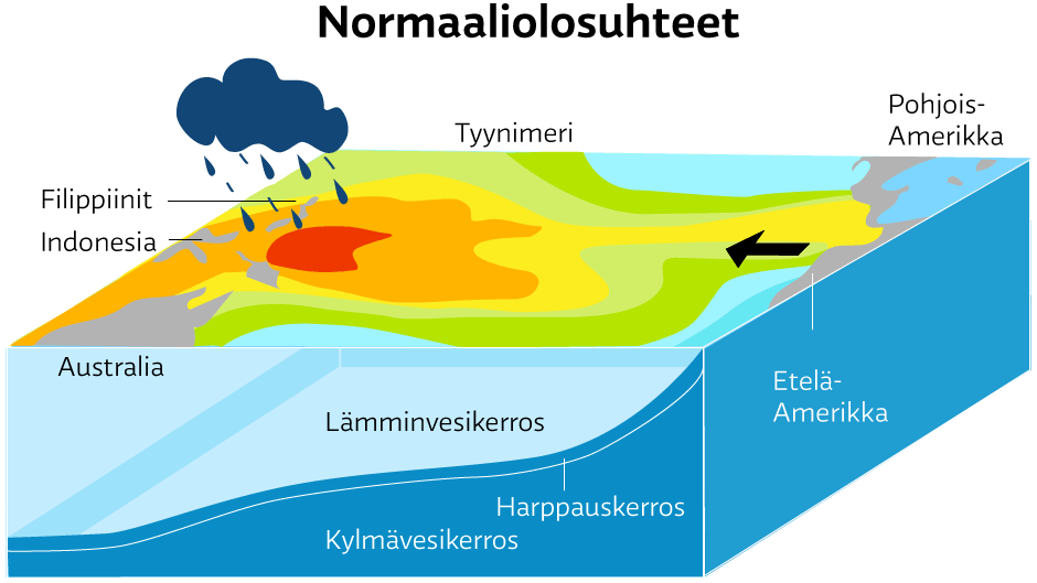 El nino GIF - Find on GIFER