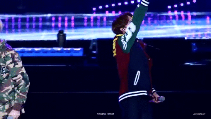 Concert GIF - Find on GIFER