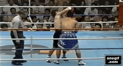 Gifs Animados De Boxeo Dibujos Animados De Combate De Boxeo Boxeador