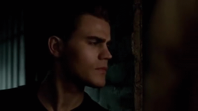 Stefan GIF - Find on GIFER