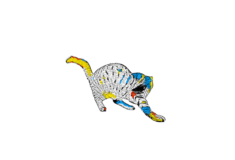 Cat colored GIF - Find on GIFER