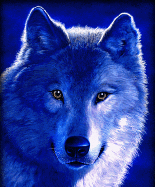 Fantasy GIF - Find on GIFER