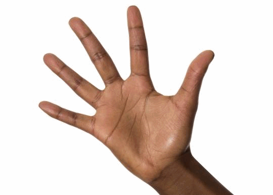 Hand diversity GIF - Find on GIFER