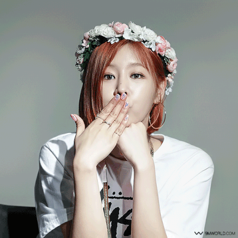 GIF nine muses - animated GIF on GIFER