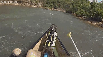 Reverse kayak GIF - Find on GIFER