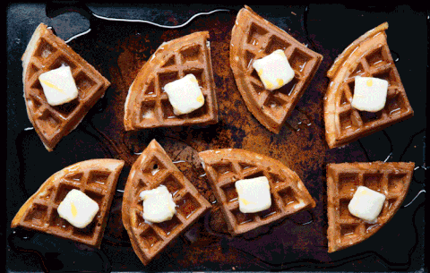 Waffles GIF - Find on GIFER