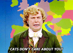 Snl saturday night live weekend update GIF - Find on GIFER