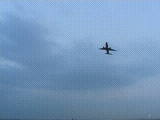 GIF grayscale - animated GIF on GIFER