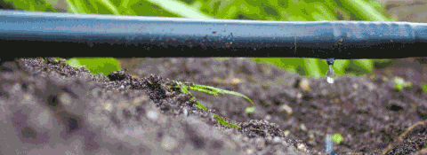 Drip GIF - Find on GIFER
