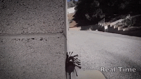 Jpl GIF - Find on GIFER