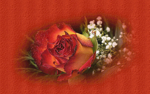 Par GIF - Find on GIFER