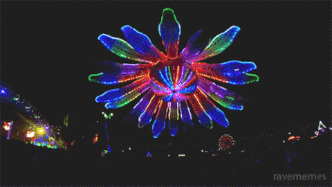 Edc GIF - Find on GIFER