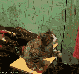 Fanfiction nocturnal GIF - Find on GIFER